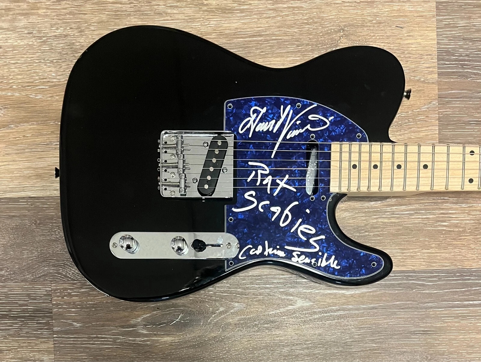 * THE DAMNED * signed guitar * DAVE VANIAN, CAPTAIN SENSIBLE & RAT ...