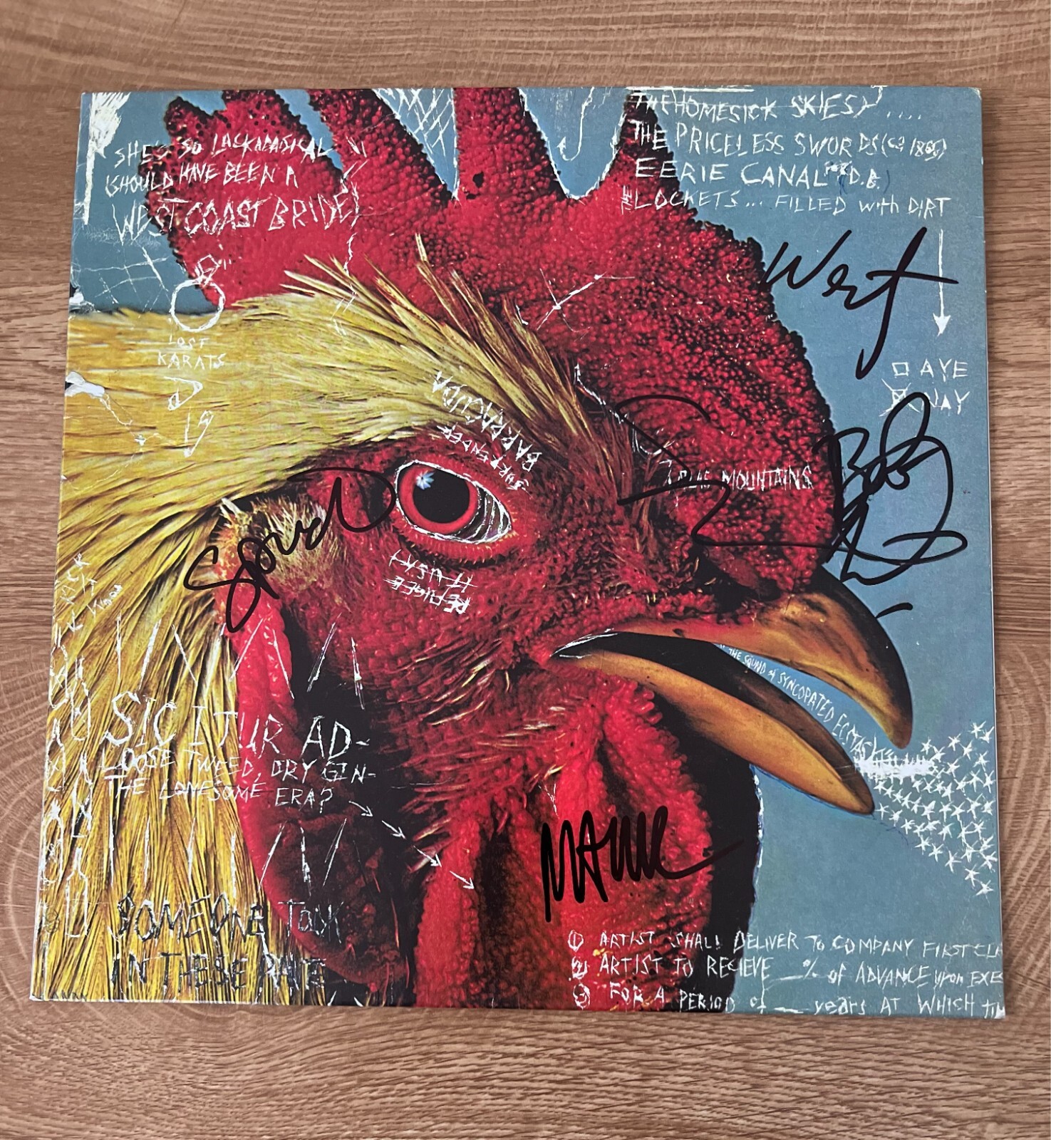 * PAVEMENT * signed vinyl album * WATERY, DOMESTIC * STEPHEN MALKMUS ...