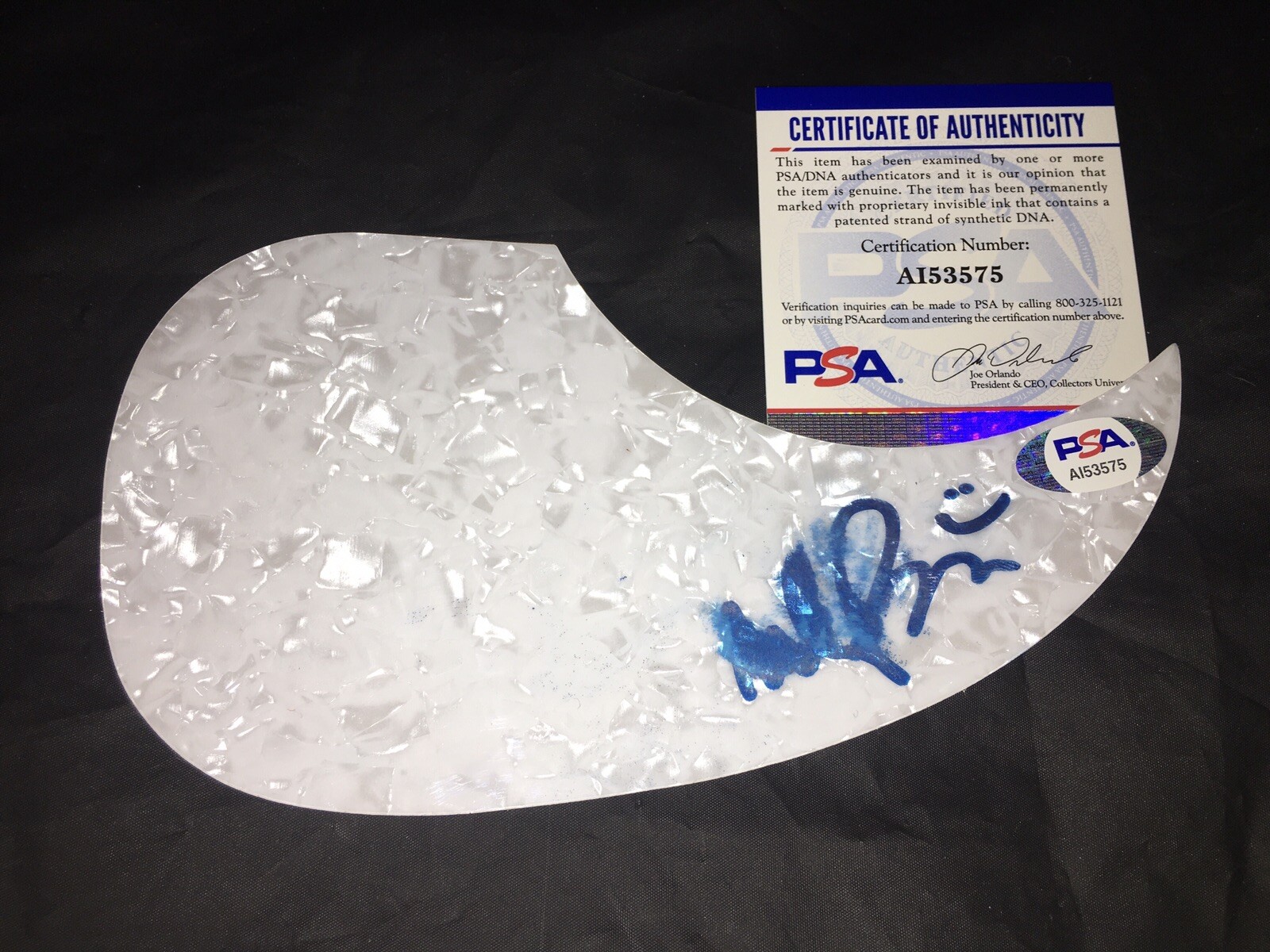 Maddie Poppe Signed Acoustic Pickguard American Idol Winner PSA/DNA ...