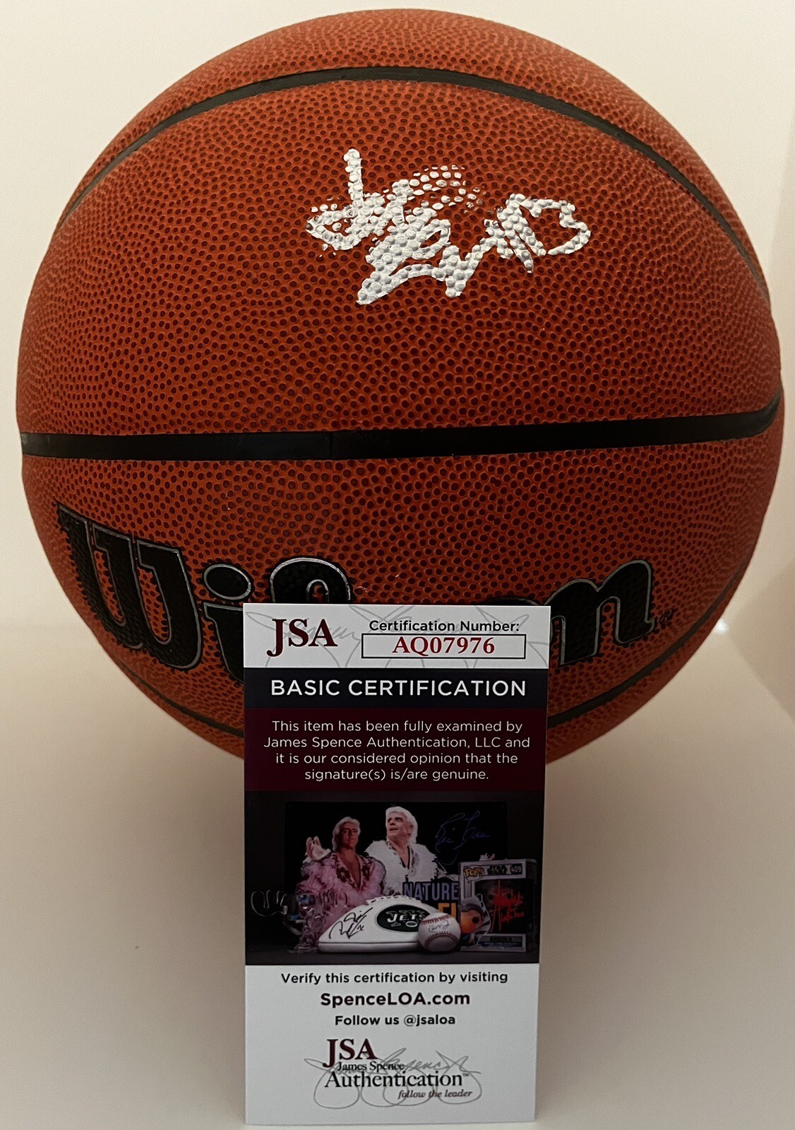 JASPER JOHNSON SIGNED WILSON NBA BASKETBALL FUTURE STAR JSA COA ...