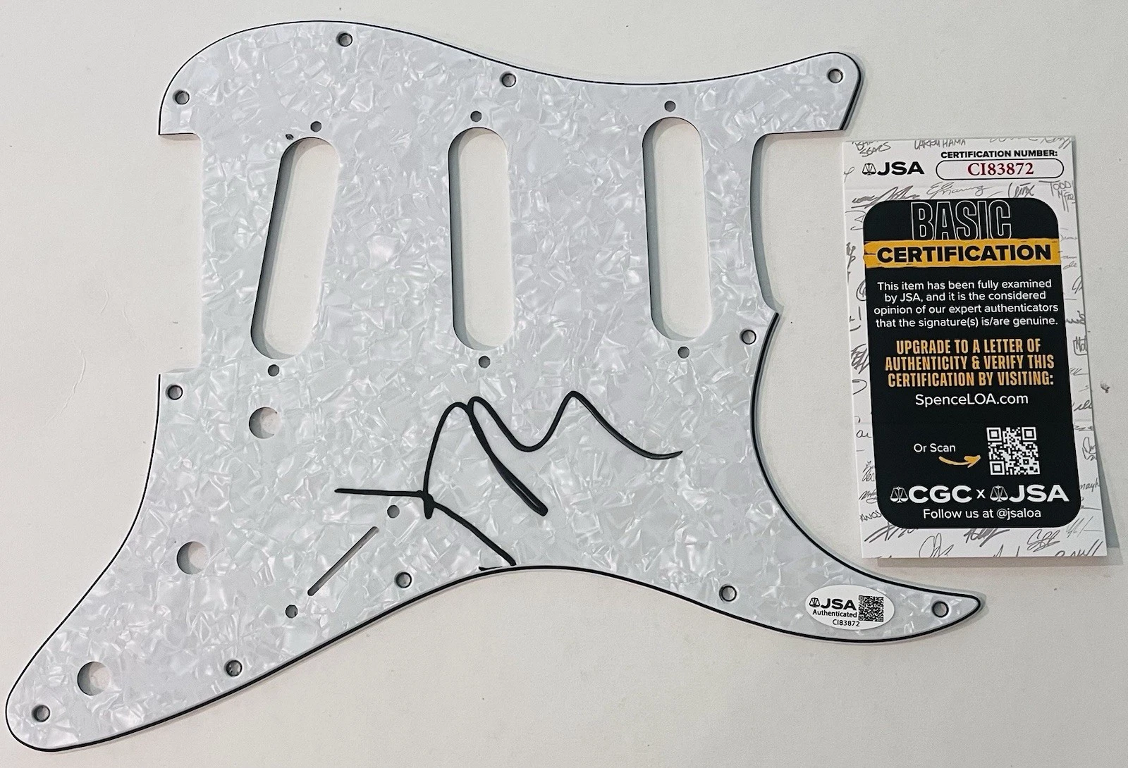 EVAN DANDO THE LEMONHEADS SIGNED GUITAR PICKGUARD PICK GUARD AUTOGRAPH ...