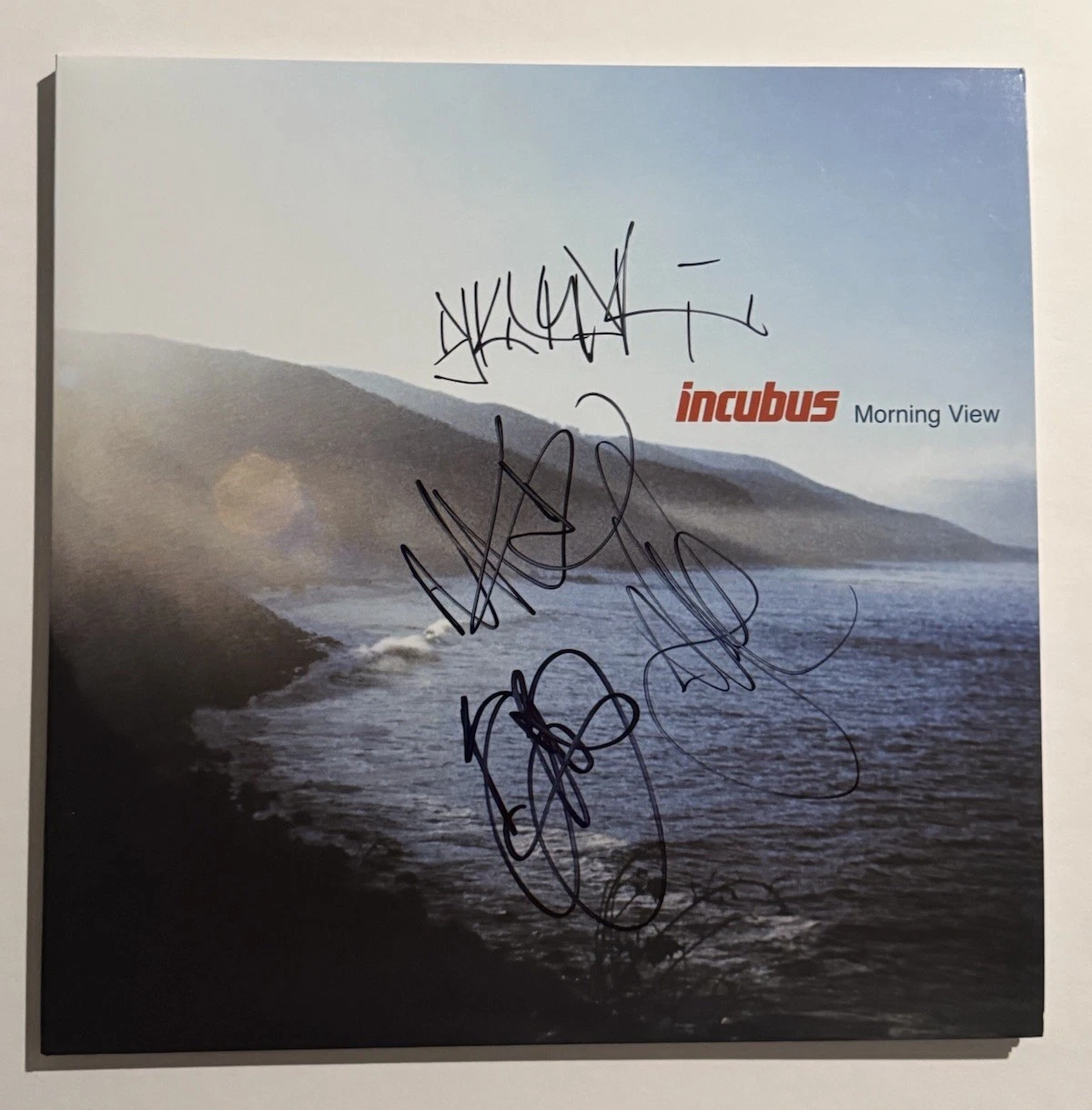 INCUBUS FULL BAND SIGNED MORNING VIEW LP VINYL RECORD ALBUM BRANDON ...